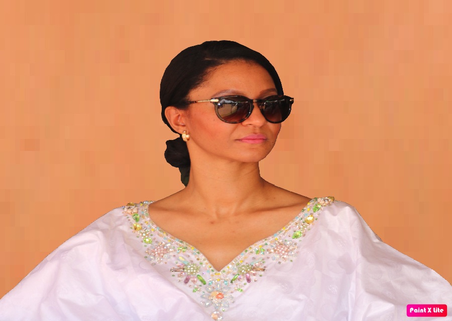 US SANCTIONS ZINEB JAMMEH - The Standard Newspaper