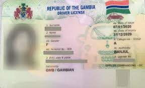 Why do we have to renew driver's licences every year? - The Gambia ...